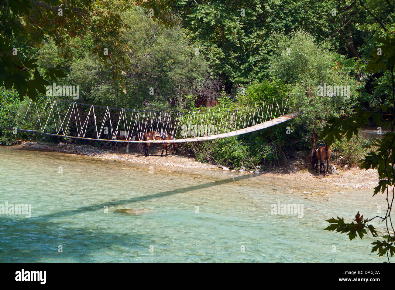 Rope bridge over Aheron river in Greece Stock Photo - Alamy
