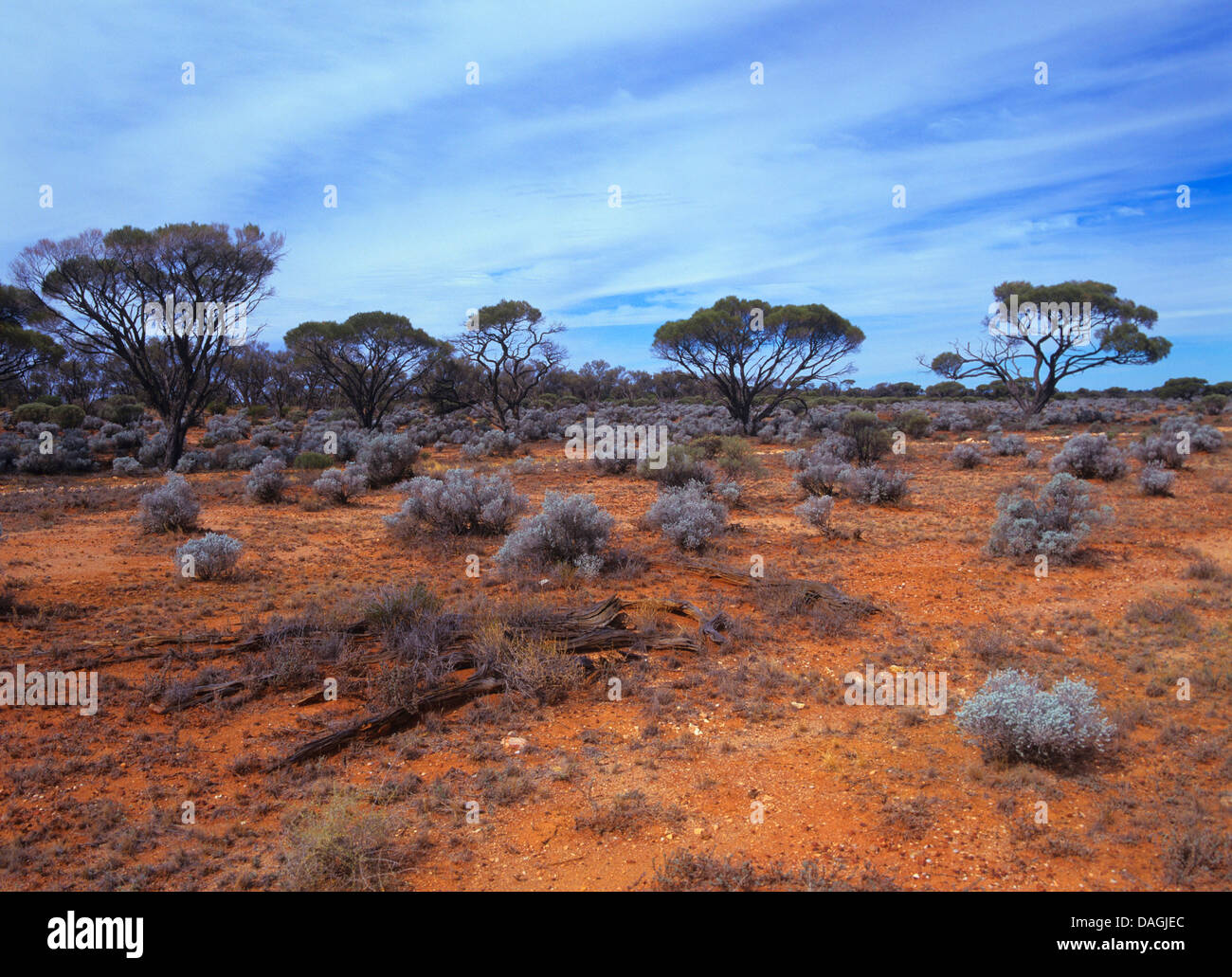 Australian bush lands hi-res stock photography and images - Alamy