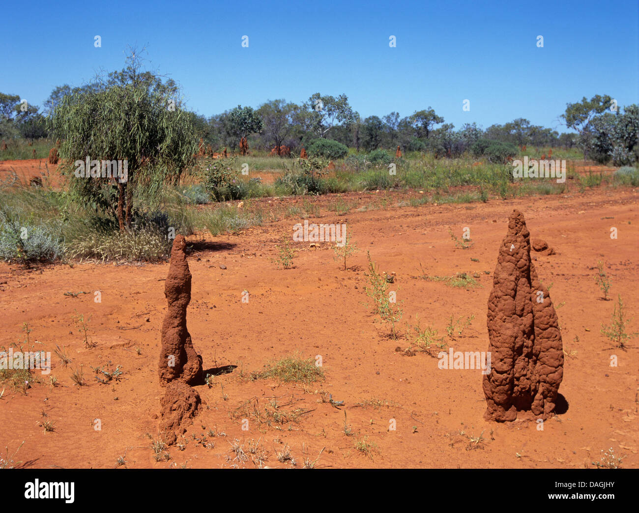 Red termite mound in australian hi-res stock photography and images - Alamy