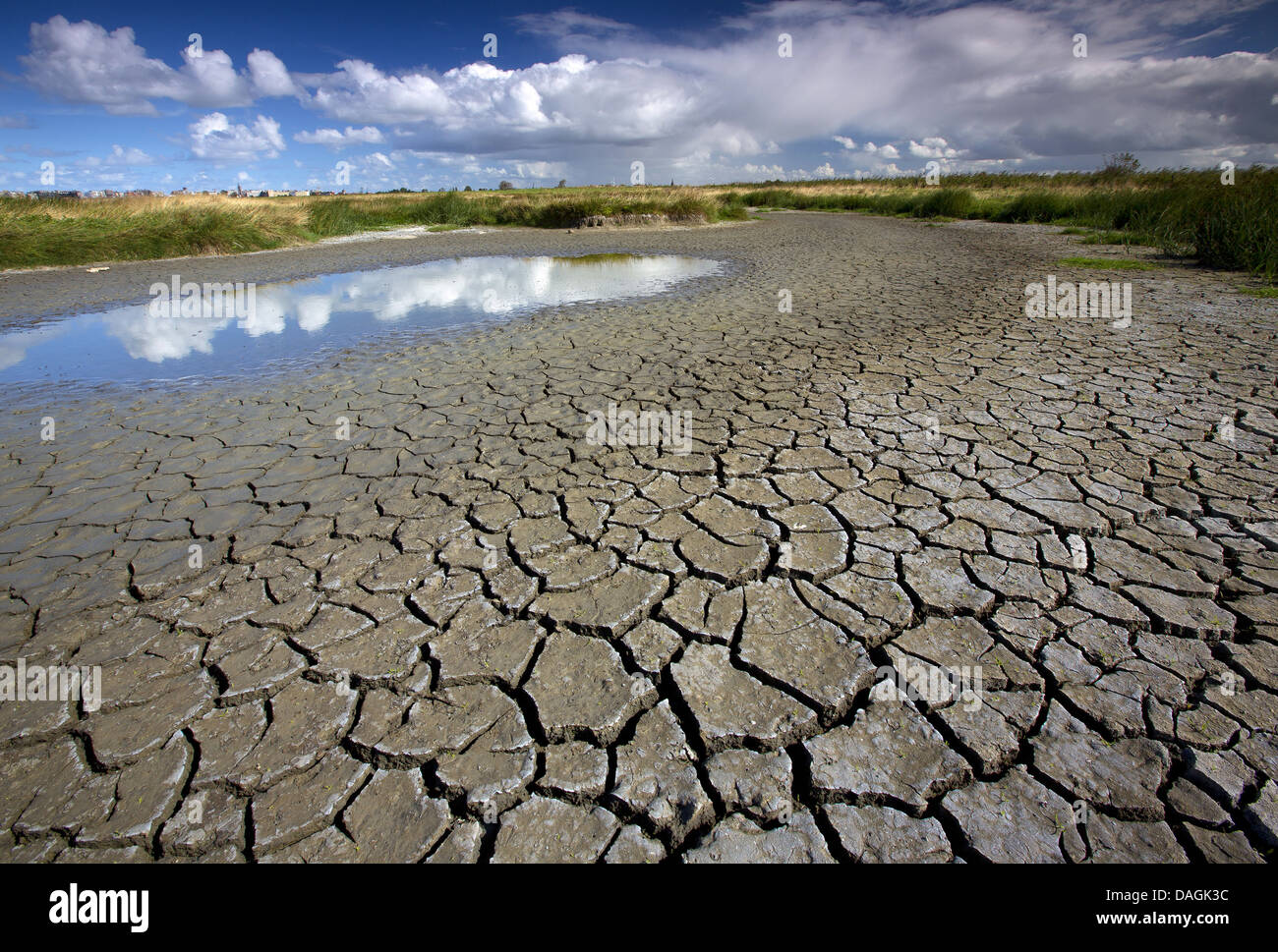 soil shrinkage, Belgium, Uitkerkse Polder Stock Photo - Alamy