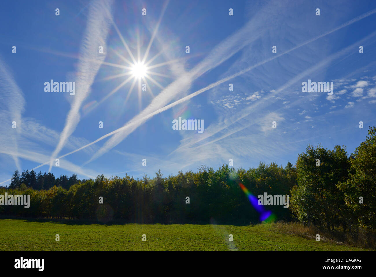 forest edge, condensation trails in the sky, Germany, Bavaria Stock ...