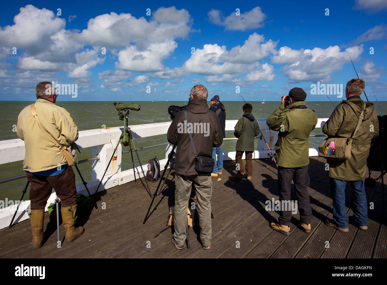 Group of birdwatchers hi-res stock photography and images - Alamy