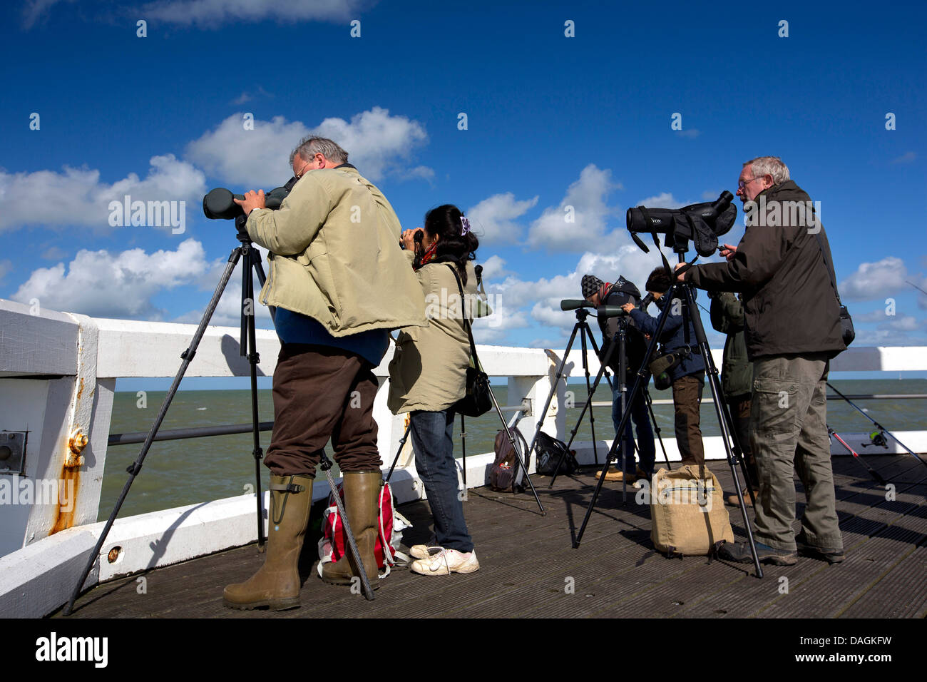 Group of birdwatchers hi-res stock photography and images - Alamy