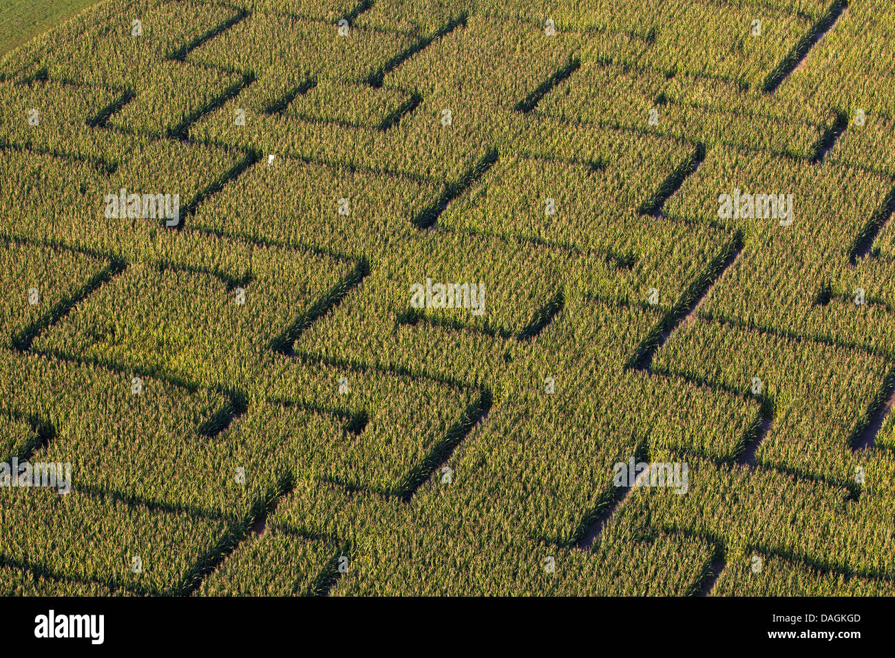 Corn Maze Aerial High Resolution Stock Photography and Images - Alamy