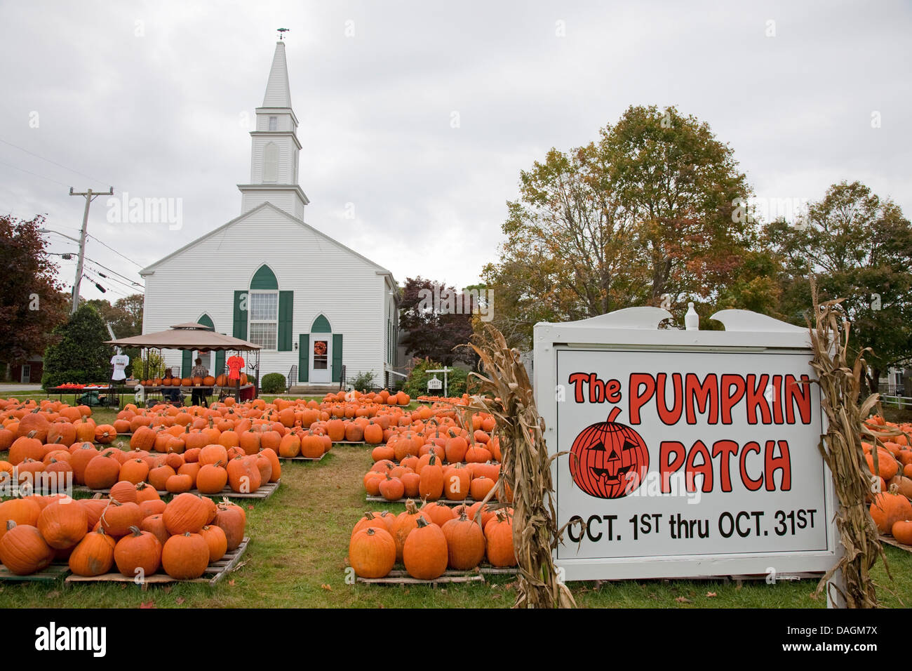 Church autumn pumpkins hi-res stock photography and images - Alamy