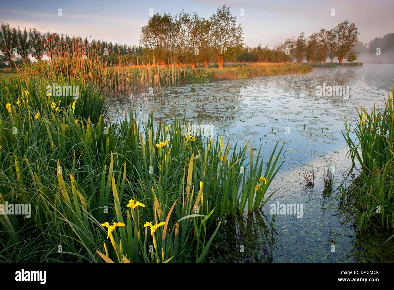 Yellow zones hi-res stock photography and images - Alamy