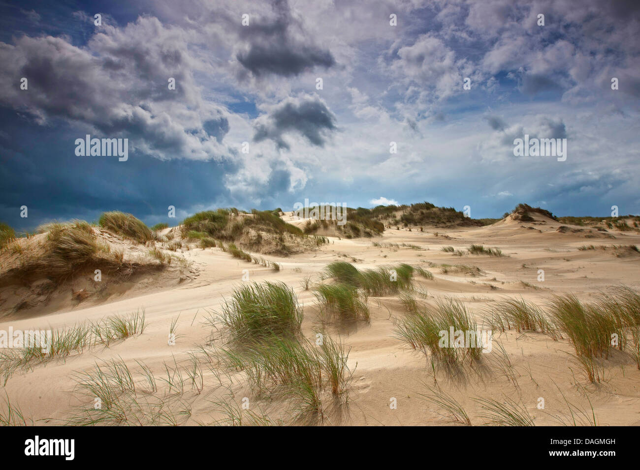 Belgium nature landscape hi-res stock photography and images - Alamy