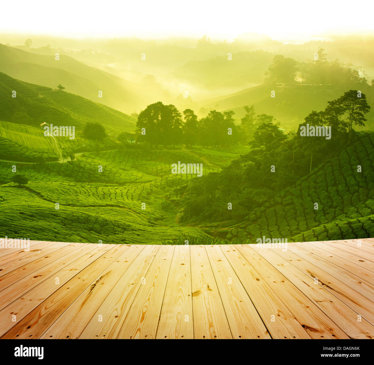 Wooden floor sunrise view tea hi-res stock photography and images - Alamy
