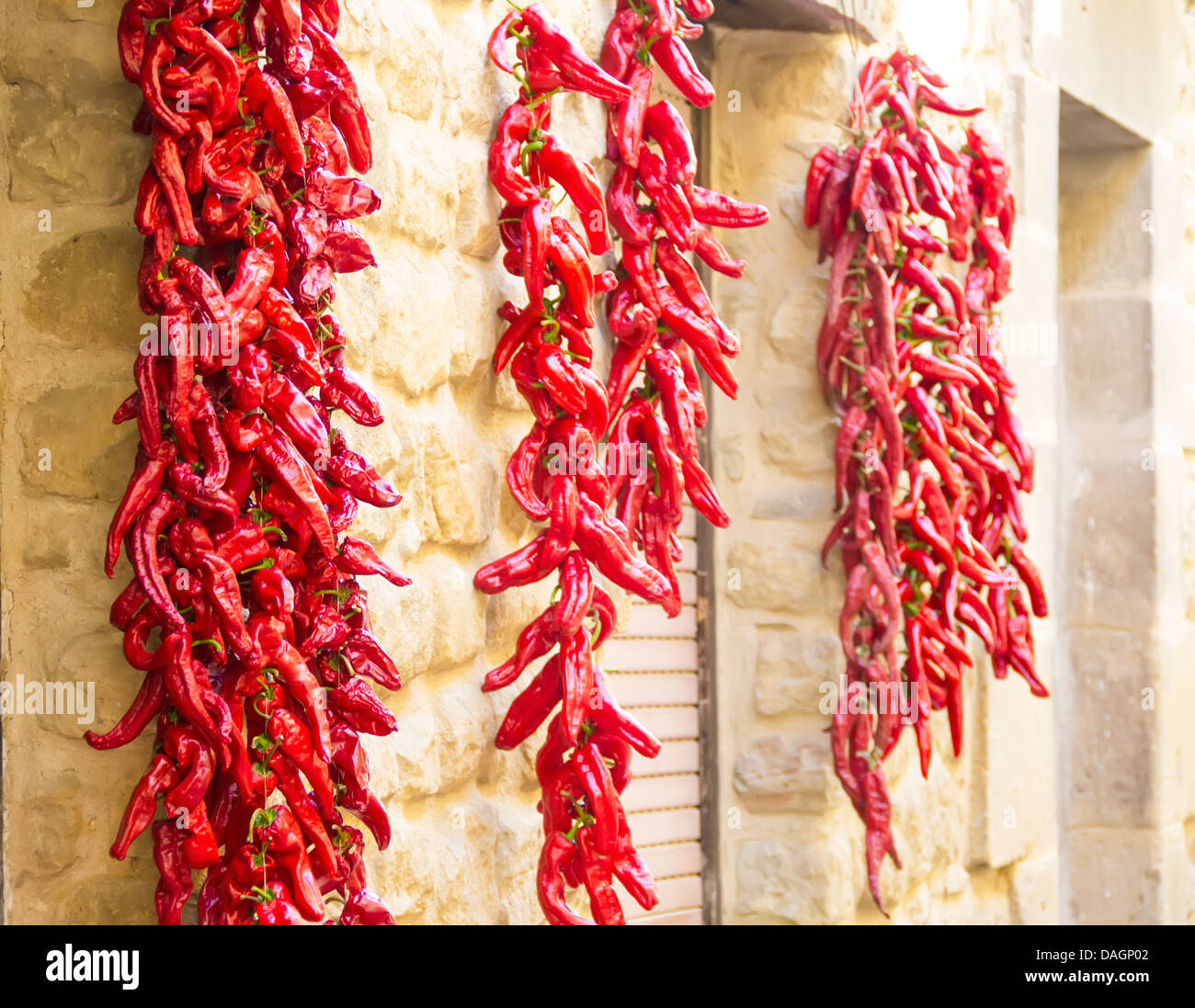 Many red peppers hanging on the wall strips focusing on the first Stock ...