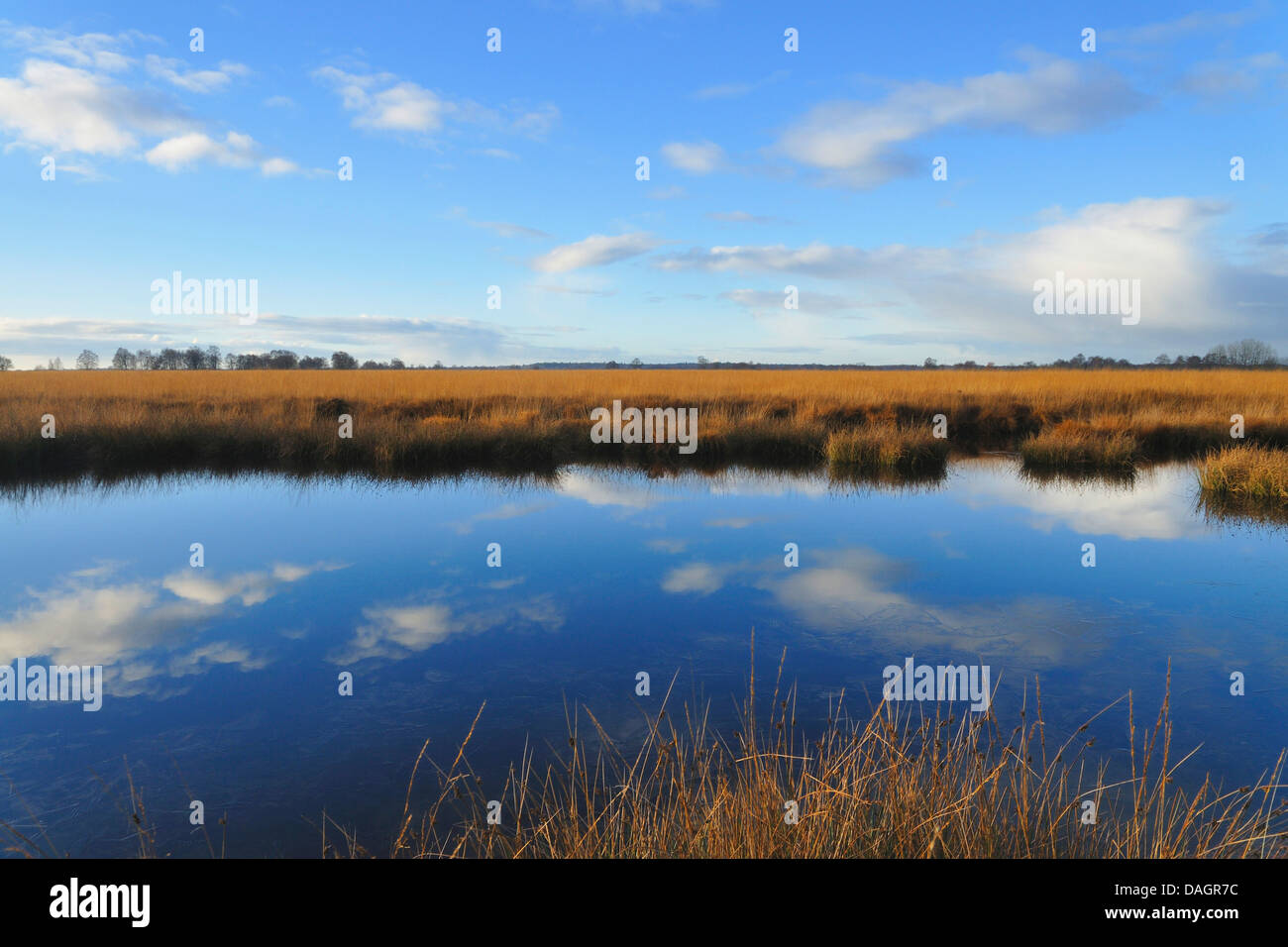 Bog pond hi-res stock photography and images - Alamy