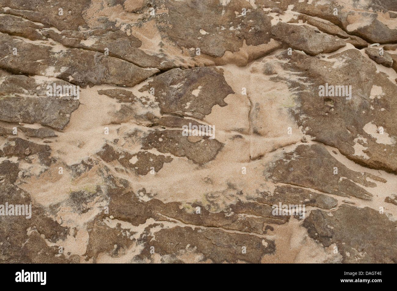 Devonian sandstone hi-res stock photography and images - Alamy