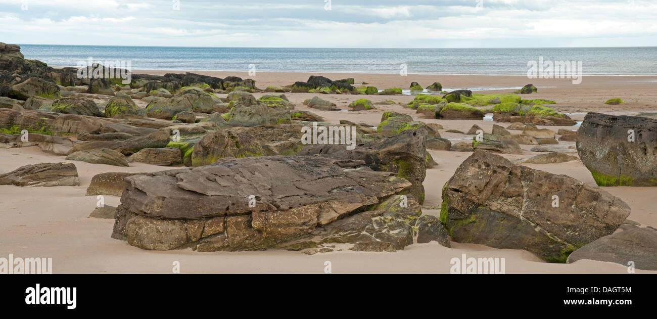 Devonian Old Red Sandstone at Dornoch Panoramic Stock Photo - Alamy