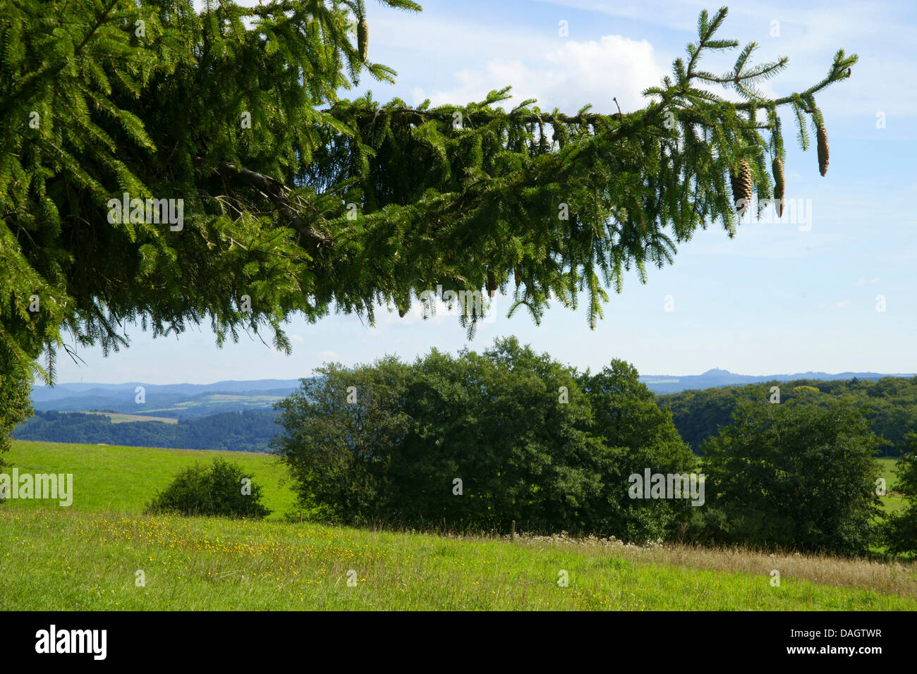 Germany eifel mountain hi-res stock photography and images - Alamy