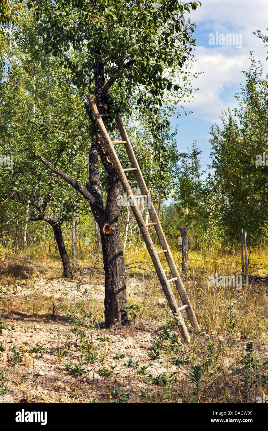 Portable ladder hi-res stock photography and images - Alamy