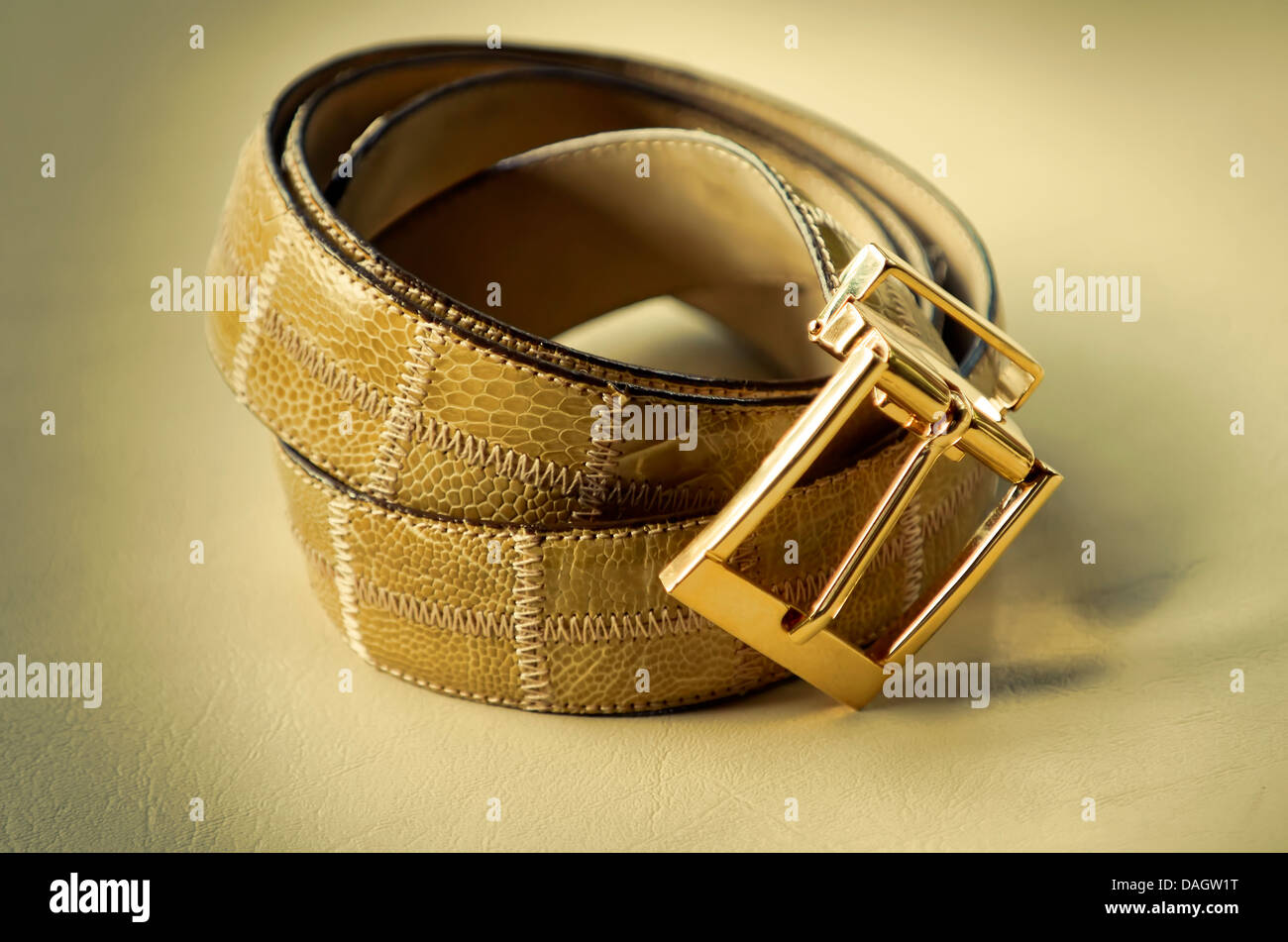 Gold belt detail hi-res stock photography and images - Alamy