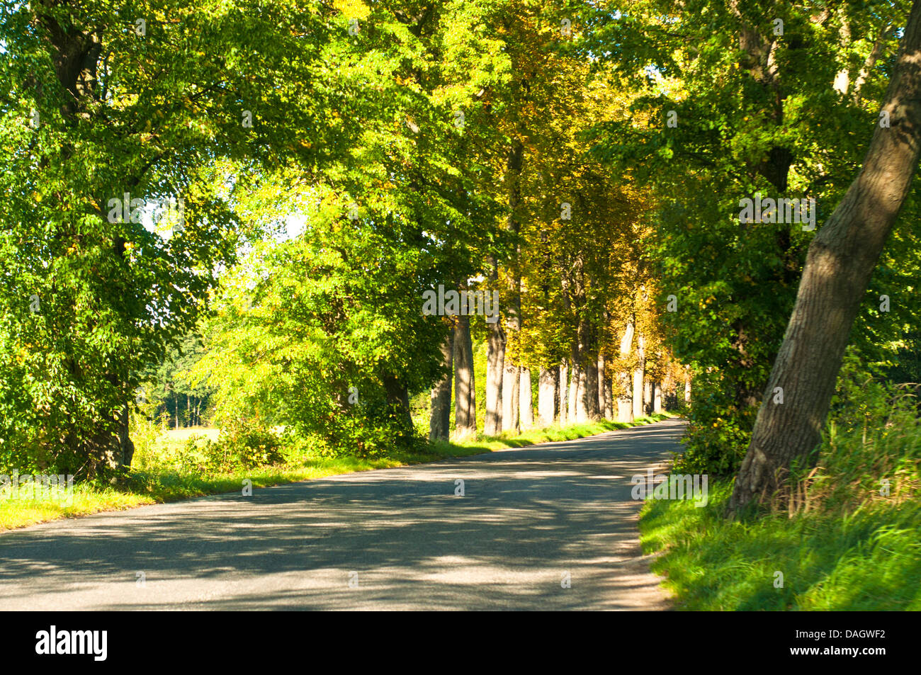 An image of highway road Stock Photo - Alamy