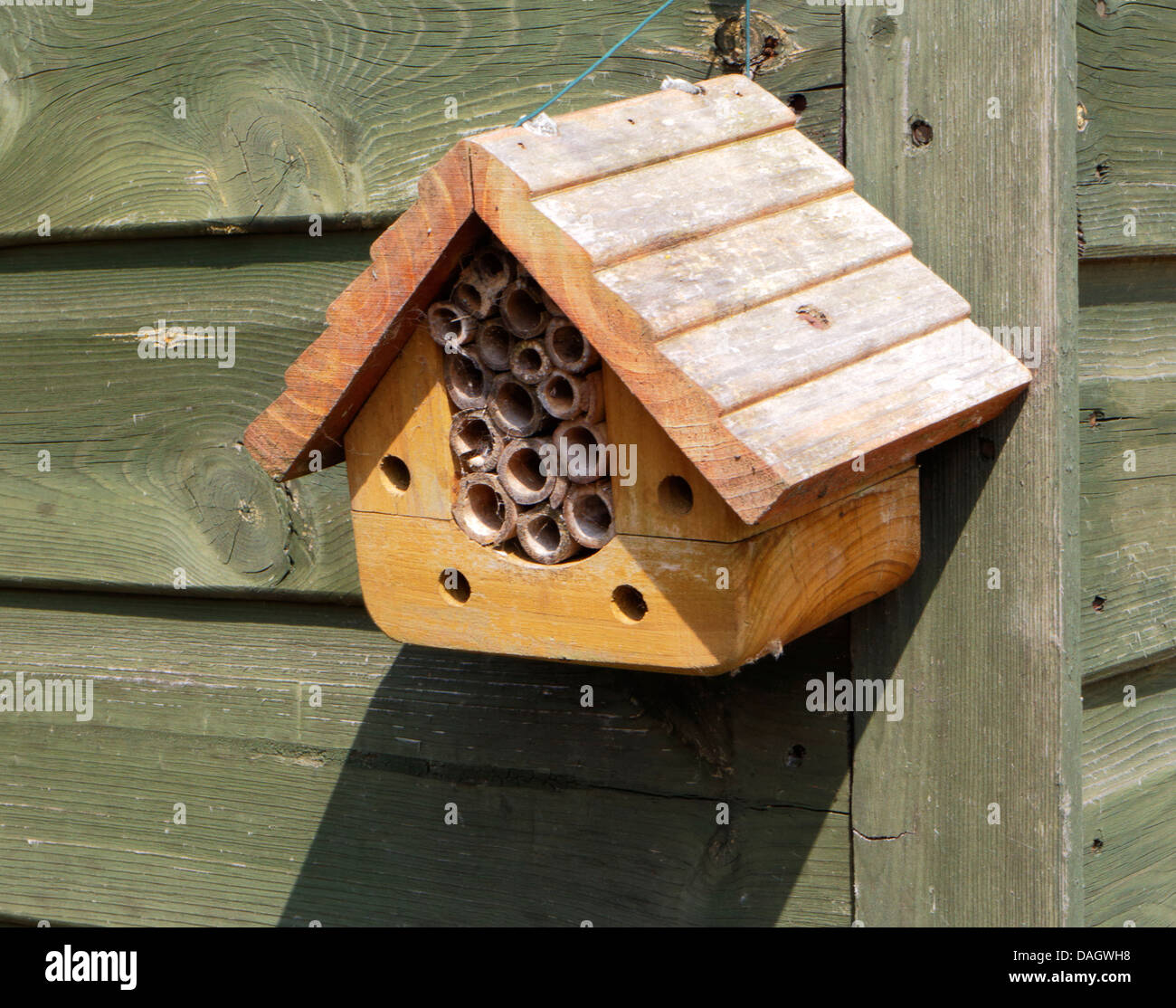 A bug box positioned on a shed in an urban garden Stock Photo - Alamy
