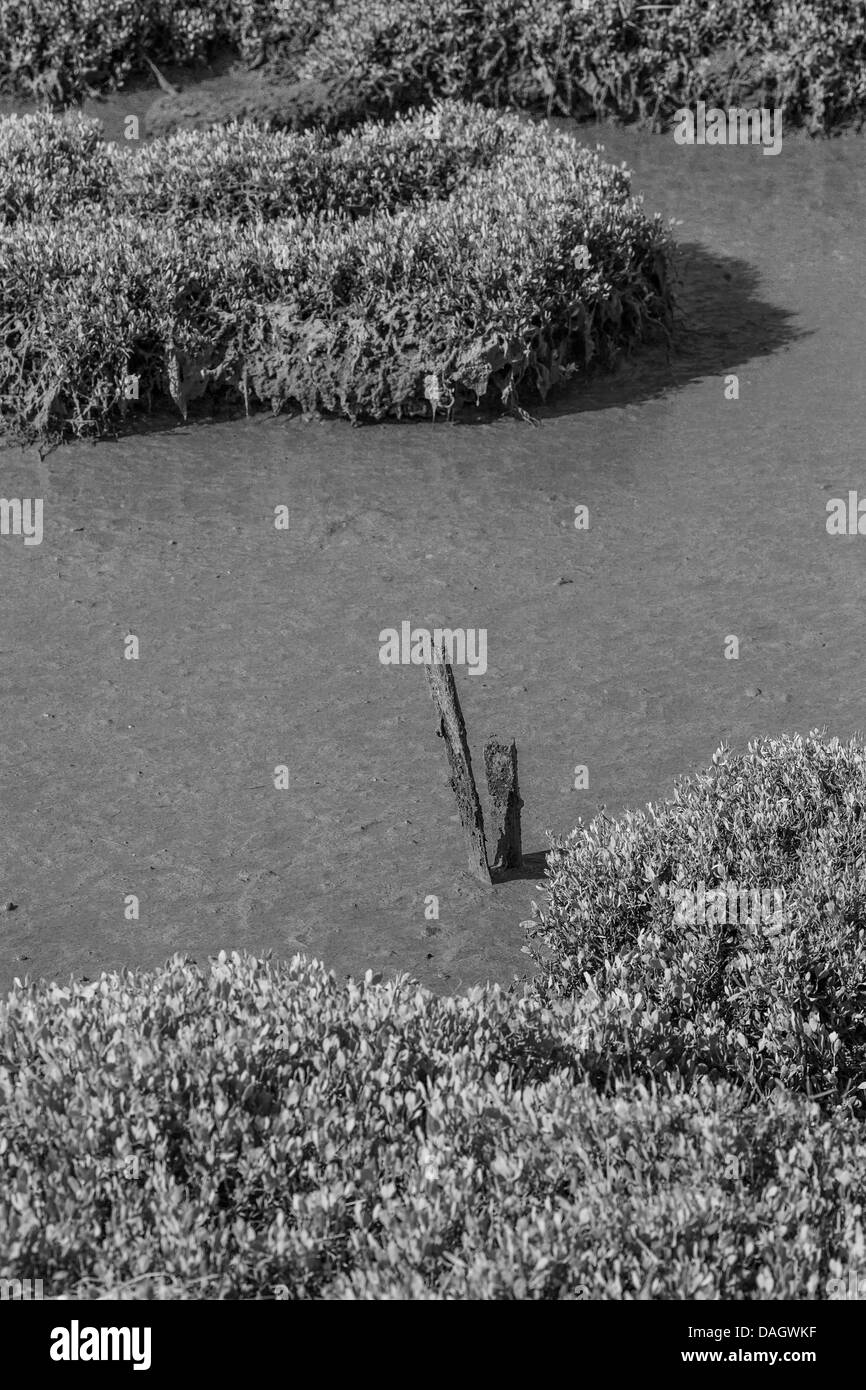 Pagham Harbour Nature Reserve West Sussex England, Monochrome Stock ...