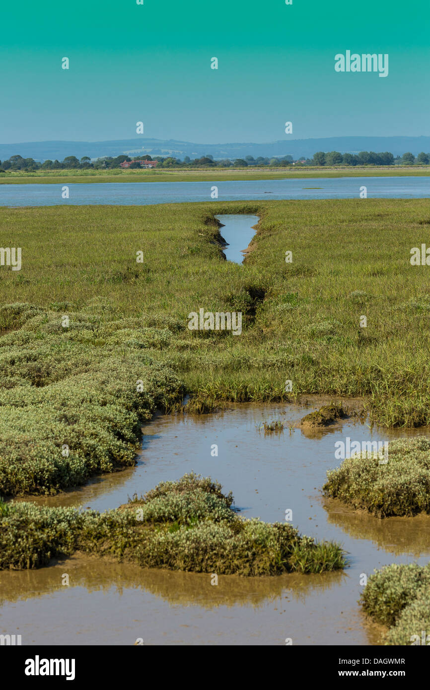 Pagham Harbour Nature Reserve West Sussex England Stock Photo - Alamy