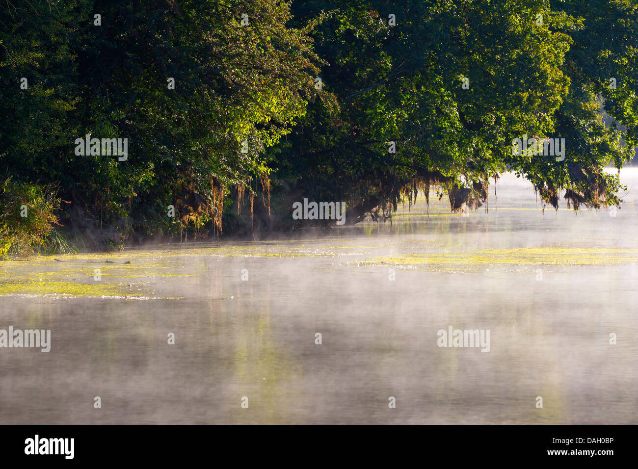 Morning mist by the river Stock Photo - Alamy