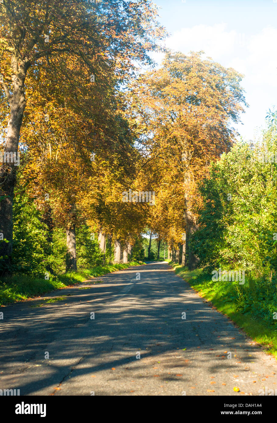 An image of highway road Stock Photo - Alamy