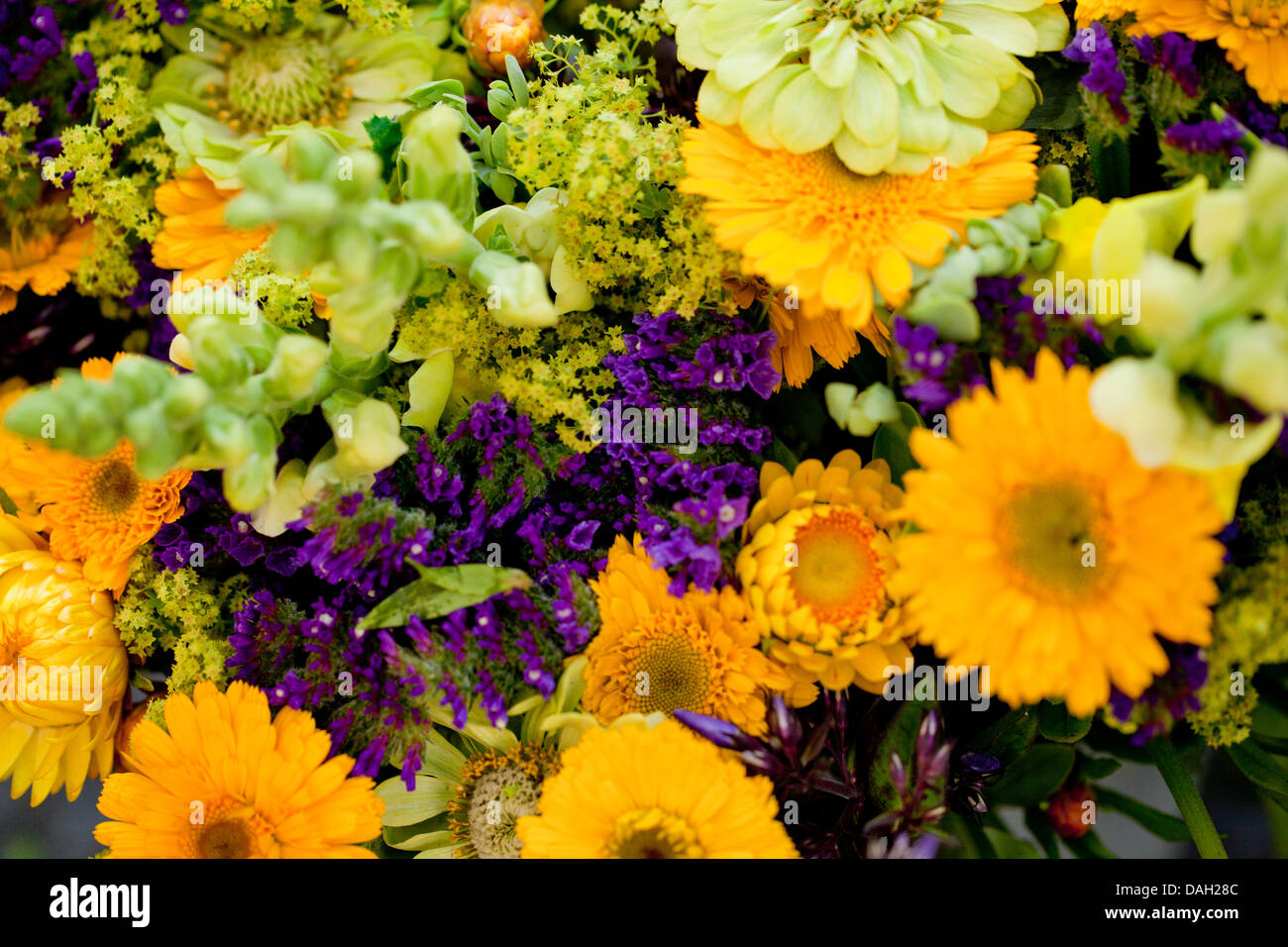 beautiful colorful collection of flowers spring summer celebration card ...