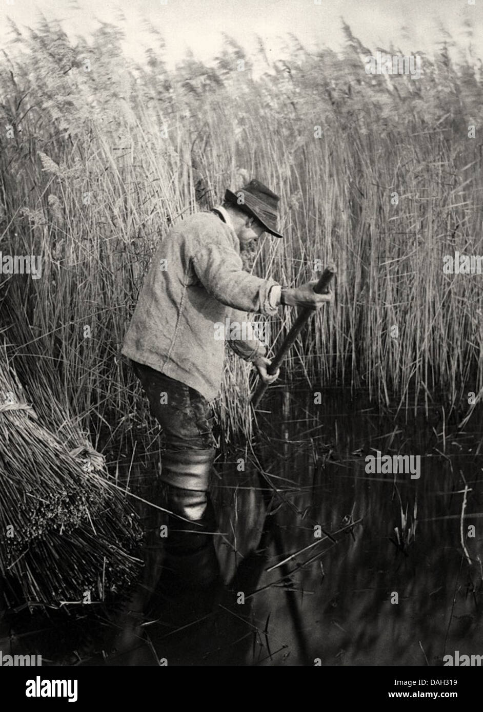 A depiction of a reed-cutter at work, illustrating the daily labor and ...