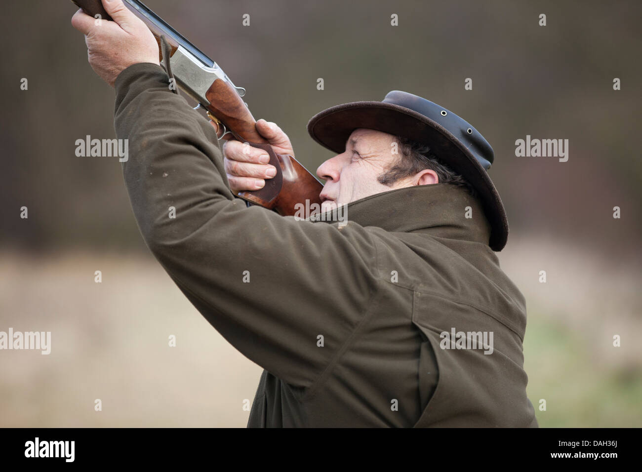 Pheasant shooting hi-res stock photography and images - Alamy