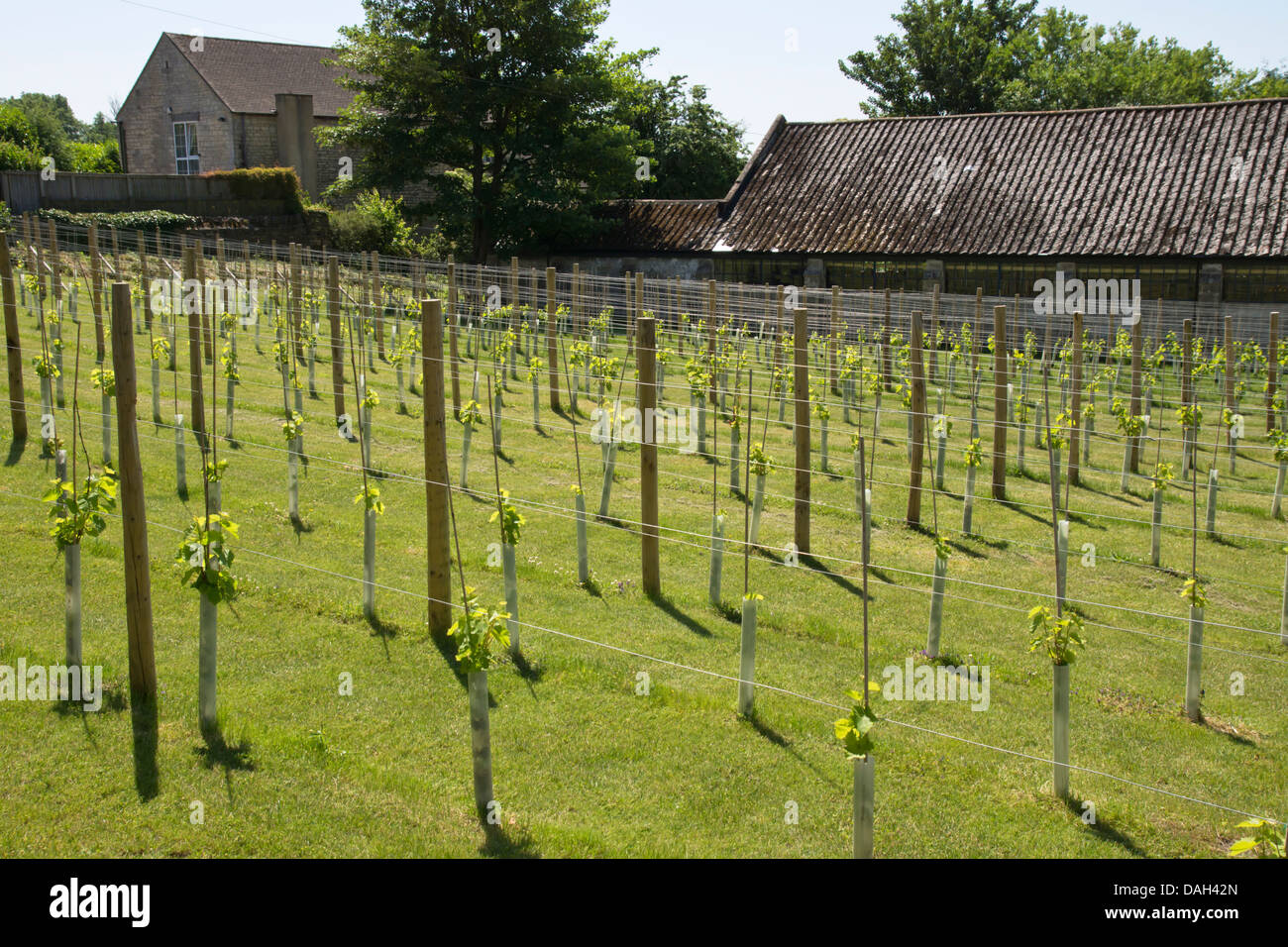 Rodborough Common Stock Photos & Rodborough Common Stock Images - Alamy