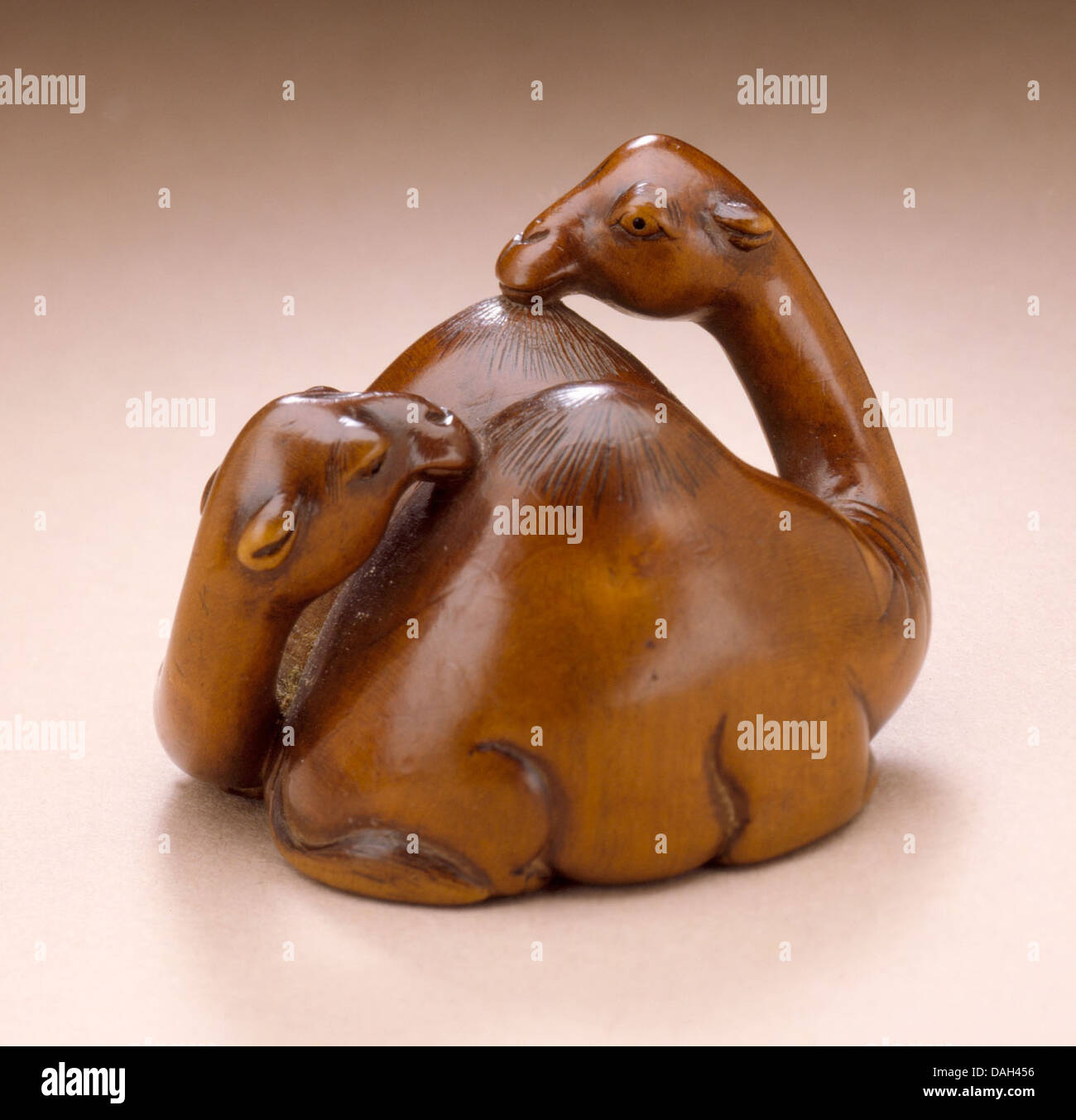 This depiction of a camel pair is an ancient artwork showcasing two ...