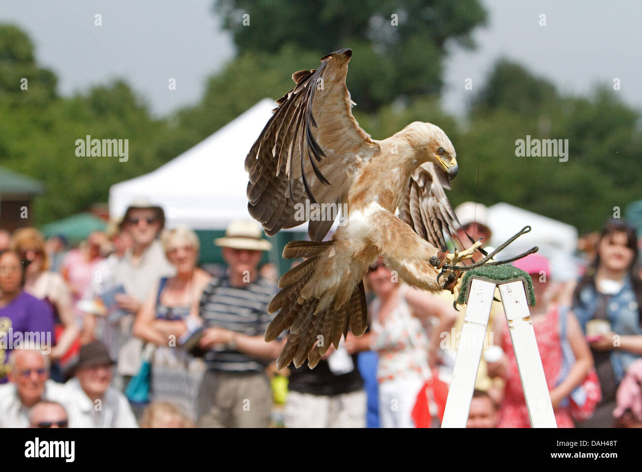 Chelsfield, UK, 13th July 2013, Crowds flock to Chelsfield Village Fair ...
