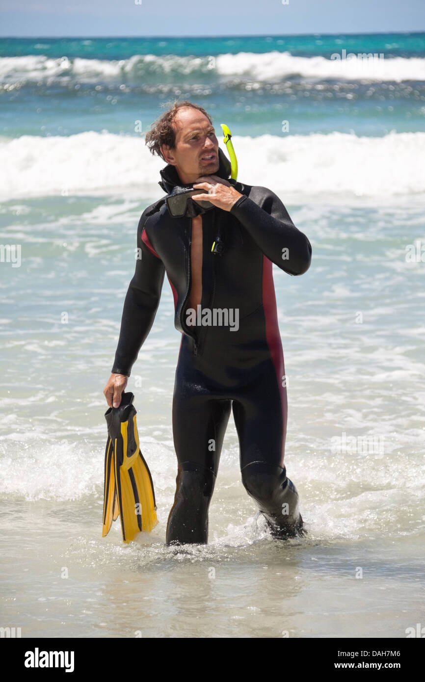 male diver with diving suit snorkel mask fins on the beach in Summer ...