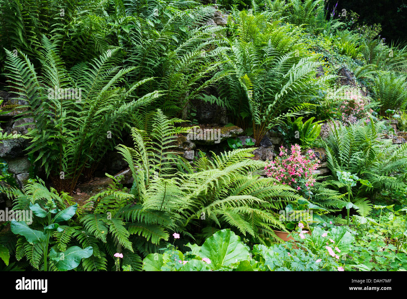 Piub hi-res stock photography and images - Alamy