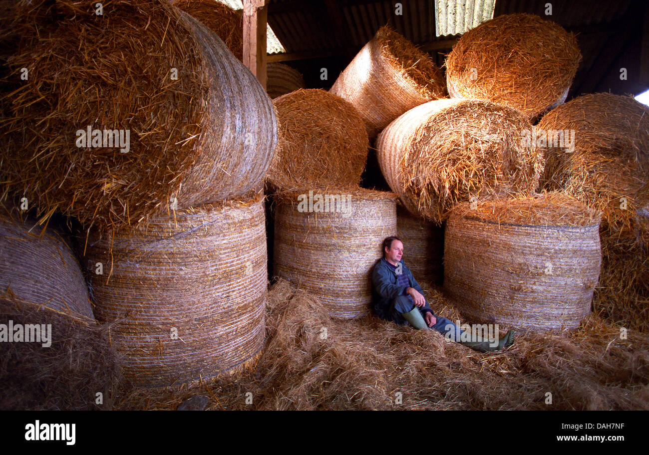 Farmer sat with bales of straw Stock Photo - Alamy