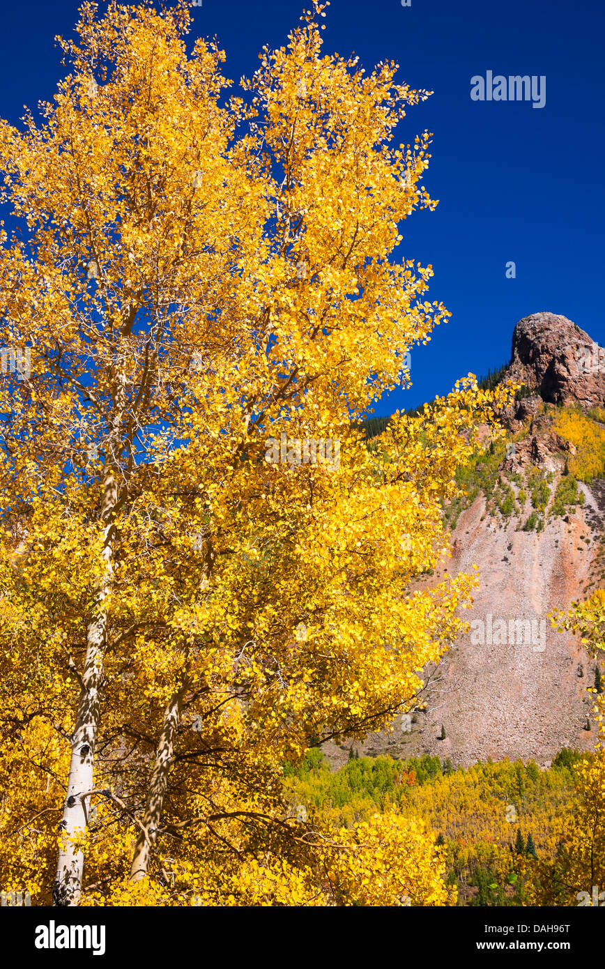Fall color along the Million Dollar Highway near Silverton, San Juan ...