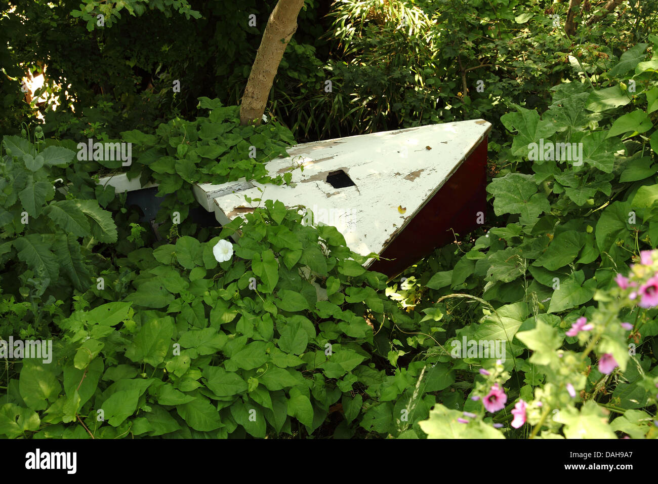 An old motor launch is reclaimed by foliage Stock Photo - Alamy