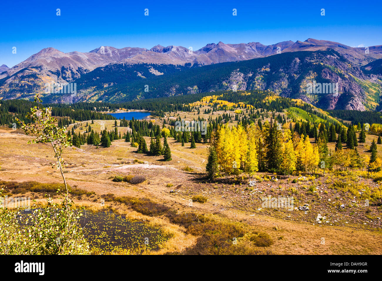 Fall color along the San Juan Skyway from Molas Pass, San Juan National ...
