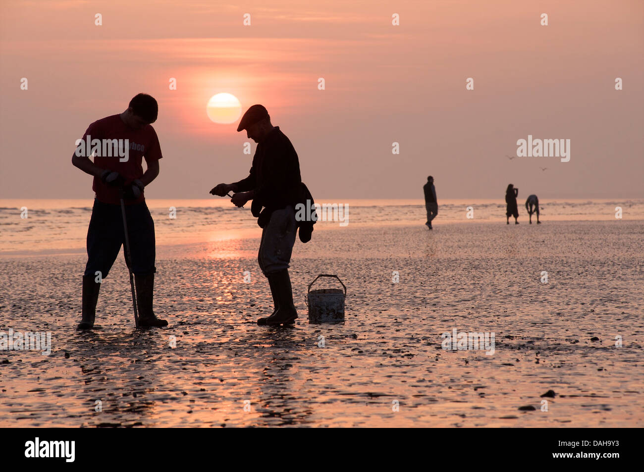 Bait digging beach hi-res stock photography and images - Alamy