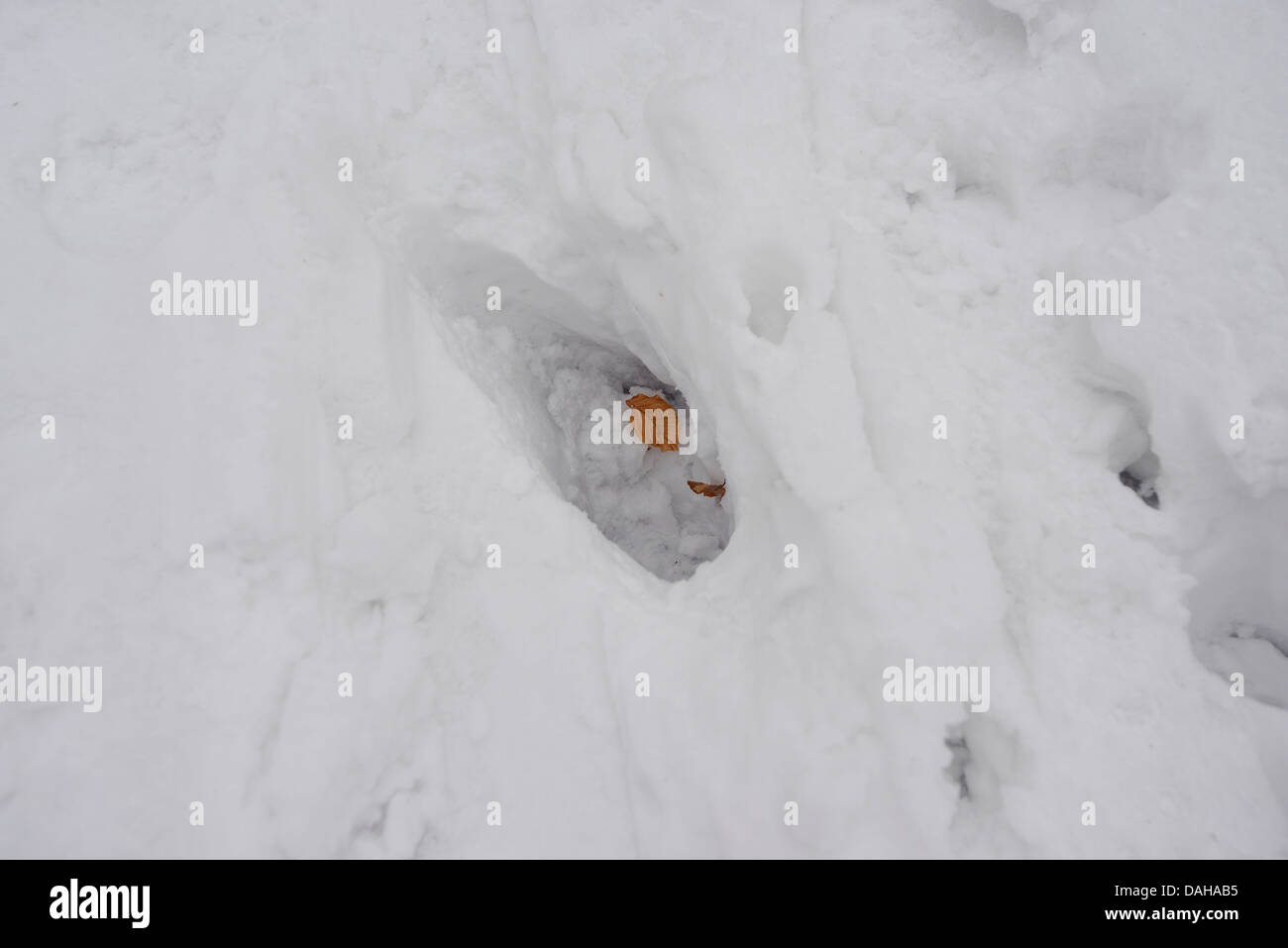 Deep snowdrift hi-res stock photography and images - Alamy