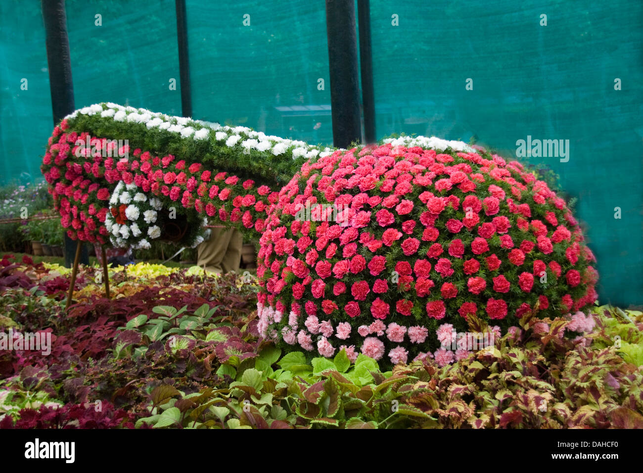Floral Musical Instrument Stock Photo - Alamy