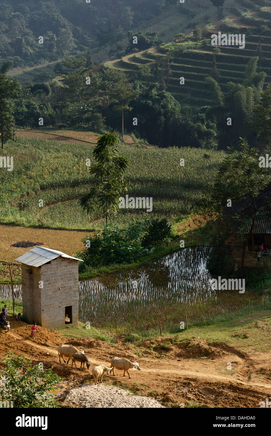 Bac ha province scenery hi-res stock photography and images - Alamy