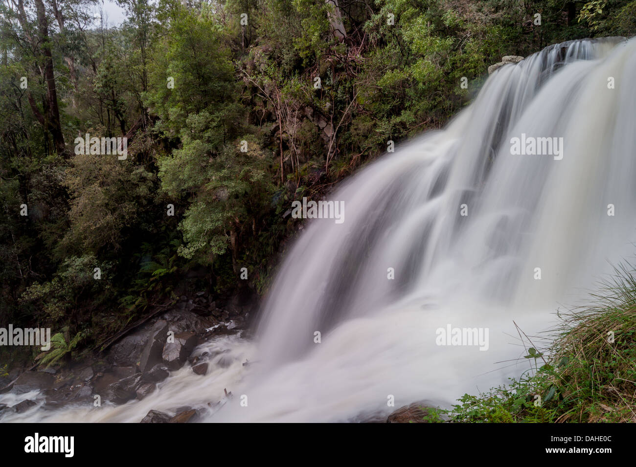 The Snobs Creek Falls in the Rubicon State Forest, Eildon, Victoria ...