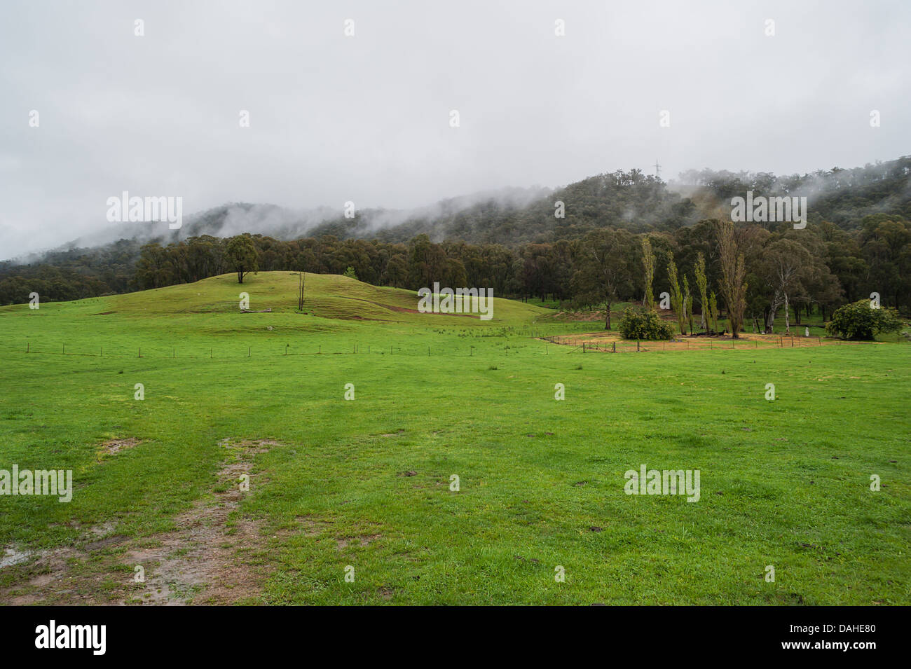 Lush rolling farmland in hi-res stock photography and images - Alamy