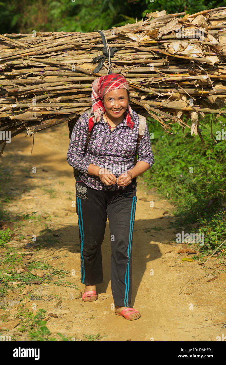 Vietnamese woman on a rural path carrying firewood. Bac Ha, Lao Cai ...