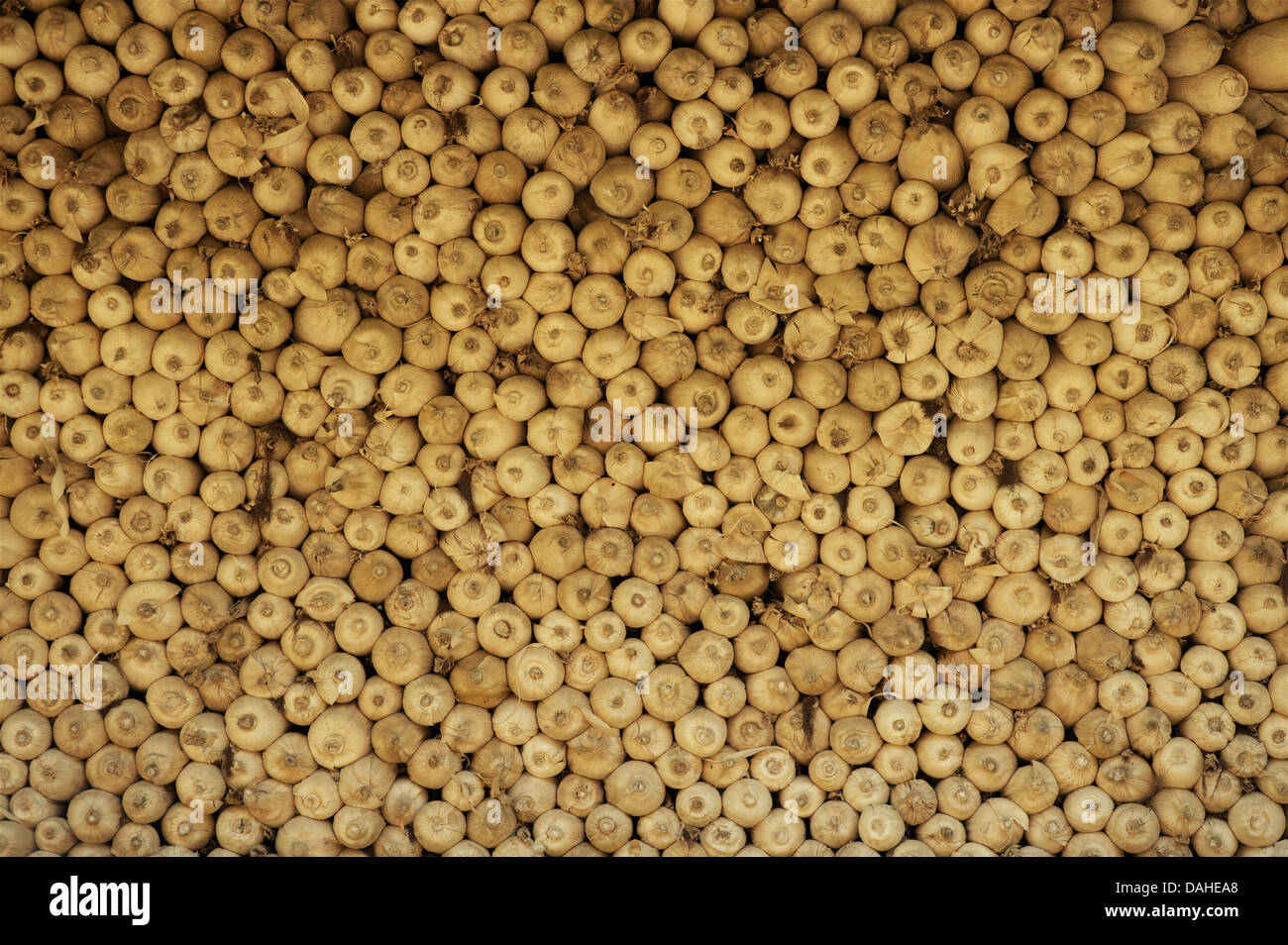 Maize store hi-res stock photography and images - Alamy