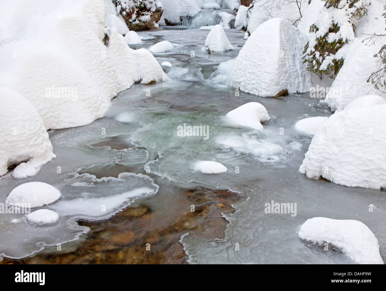 Nearly natural stream, Germany Stock Photo - Alamy