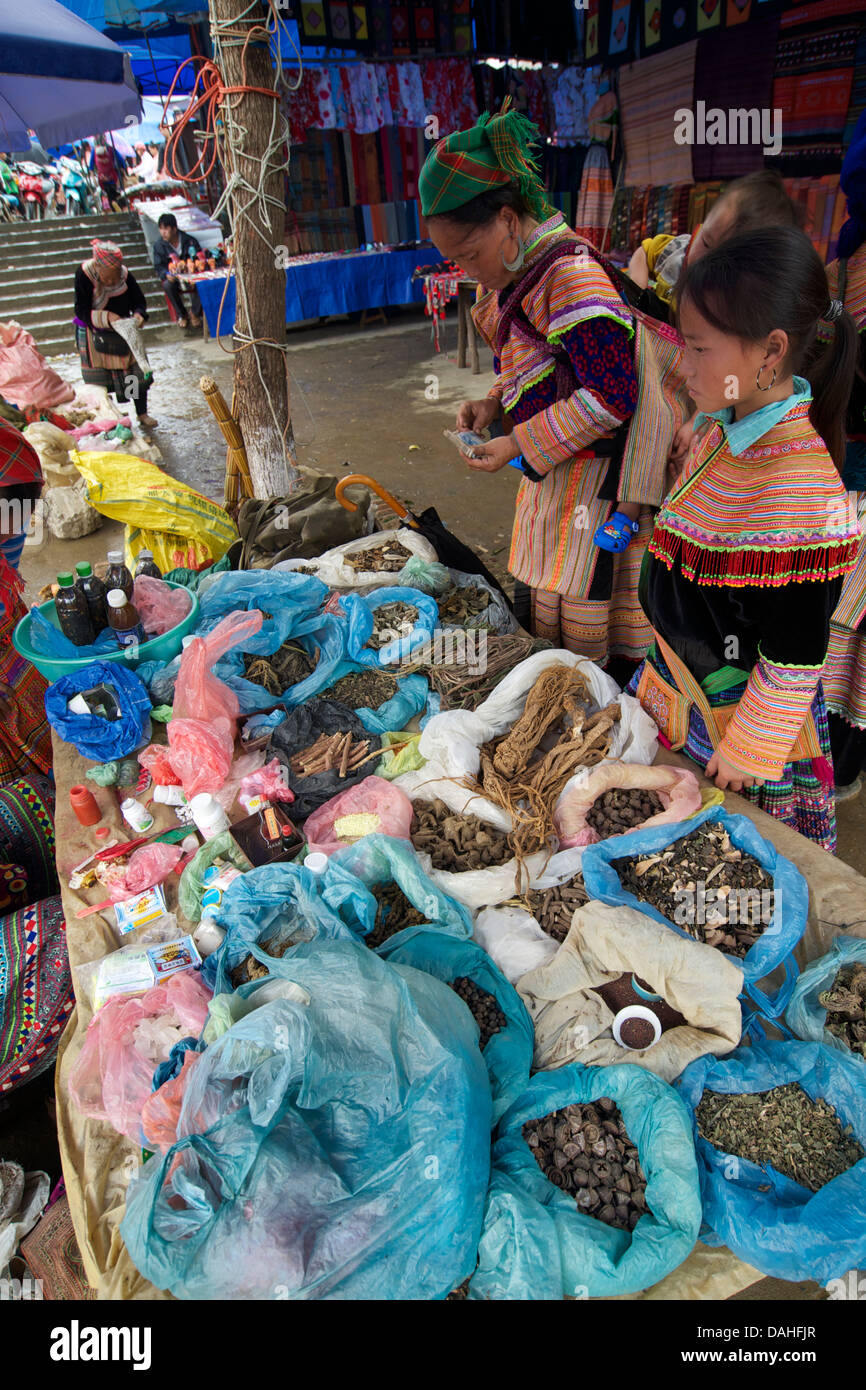 Medicinal herbs stall at Bac Ha Sunday market. Lao Cai Province ...