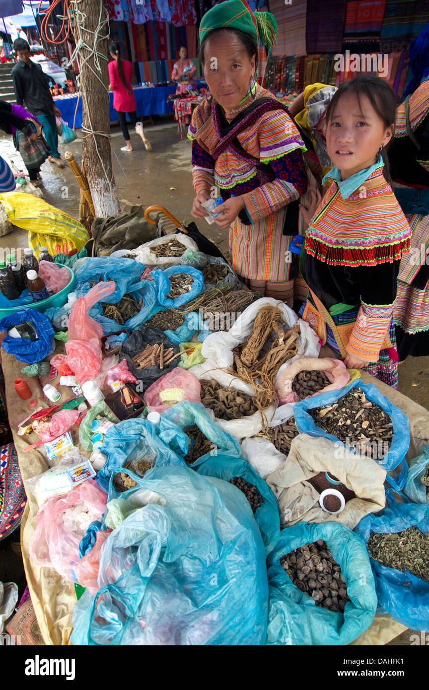 Medicinal herbs stall at Bac Ha Sunday market. Lao Cai Province ...
