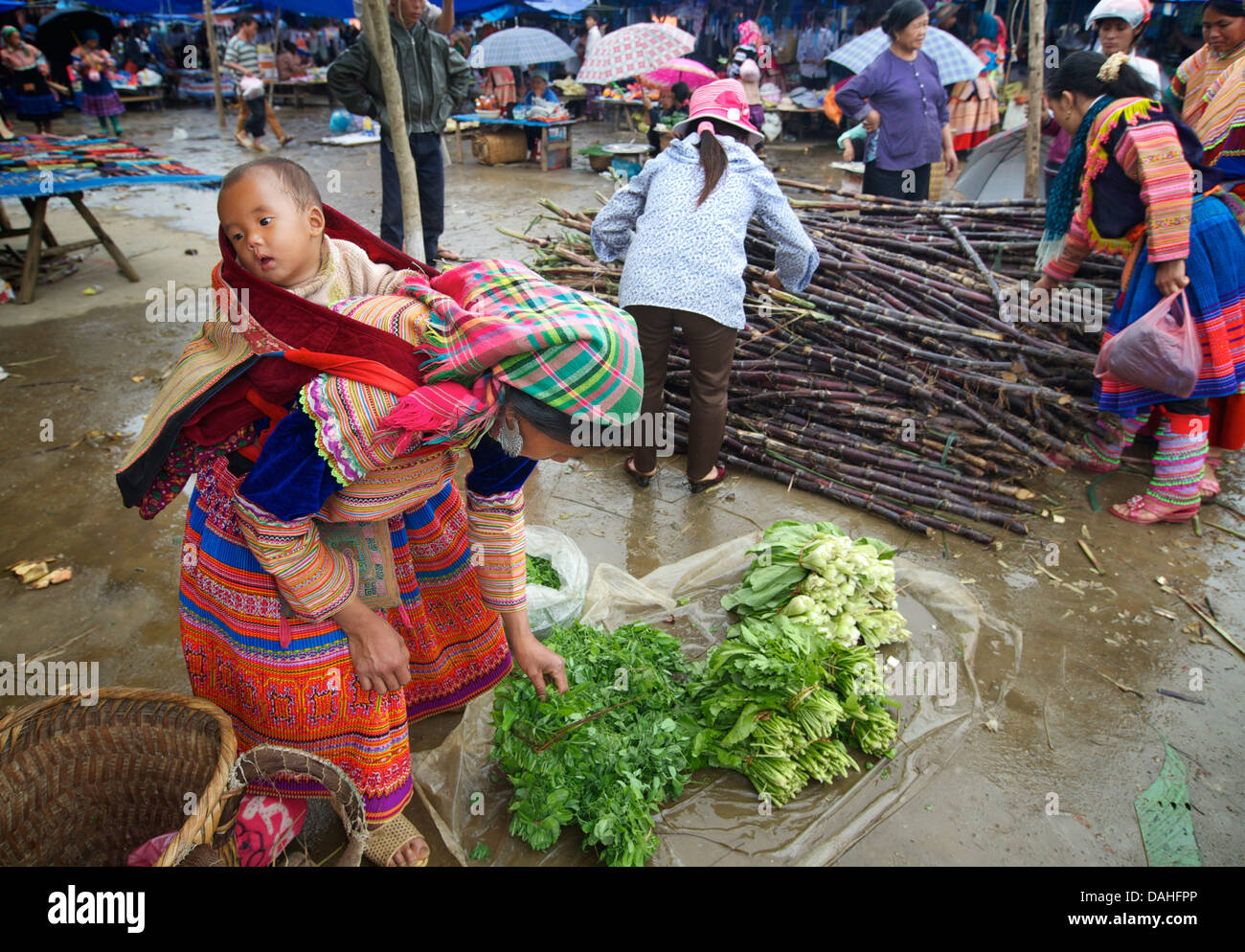 Flower Hmong Mother And Child Bac Ha Vietnam High Resolution Stock ...
