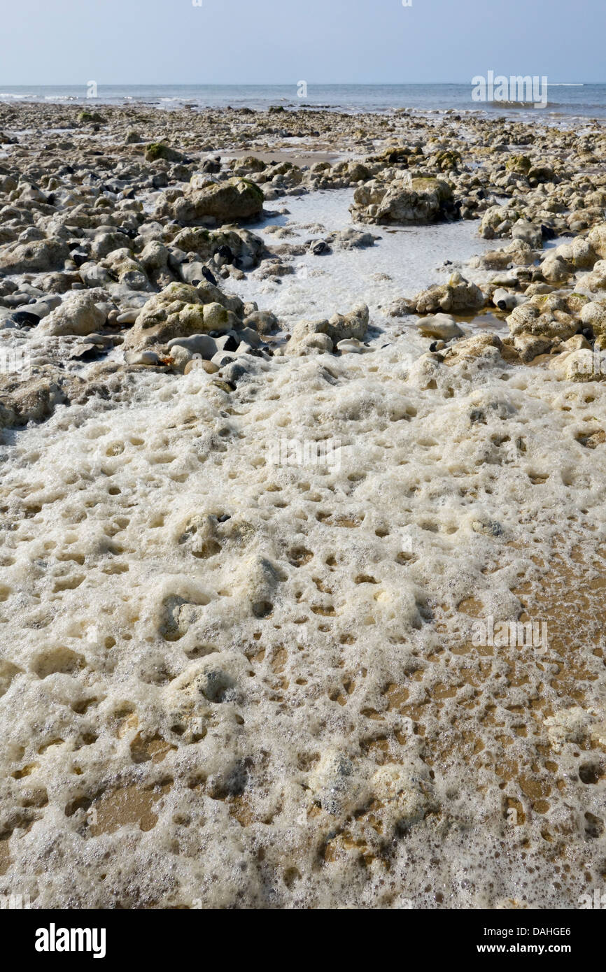 Foam on chalk beach Stock Photo - Alamy